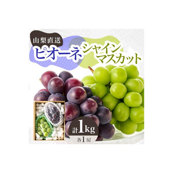 ■お礼品詳細　・配送種別：冷蔵便■お申し込み・配送・その他　・発送時期：2026年08月01日〜2026年10月01日（お届け時間帯指定可）　・申込受付期間：〜2026/9/10　・配達外のエリア：離島　・寄付証明書の送付時期目安：申込完了...