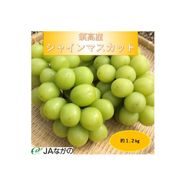 ■お礼品詳細　・配送種別：冷蔵便■お申し込み・配送・その他　・発送時期：2026-09-20〜2026-10-20（お届け時間帯指定可）　・申込受付期間：〜2026-09-26　・配達外のエリア：離島、北海道、沖縄県　・寄付証明書の送付時期...