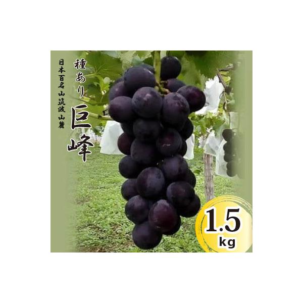 ■お礼品詳細　・配送種別：冷蔵便■お申し込み・配送・その他　・発送時期：2026-08-17〜2026-09-30（お届け時間帯指定可）　・申込受付期間：2025-12-08〜2026-09-22　・配達外のエリア：離島　・寄付証明書の送付...