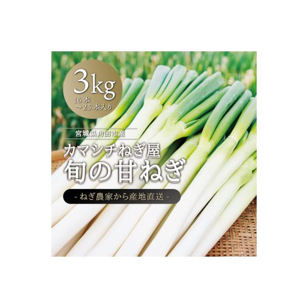 ■お礼品詳細　・配送種別：通常■お申し込み・配送・その他　・発送時期：2026-01-09〜2026-03-13（お届け時間帯指定可）　・申込受付期間：2025-10-08〜2026-03-07　・配達外のエリア：　・寄付証明書の送付時期目...