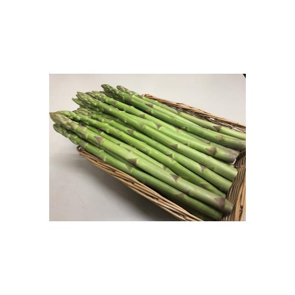 ■お礼品詳細　・配送種別：冷蔵便■お申し込み・配送・その他　・発送時期：2026-06-22〜2026-10-24　・申込受付期間：〜2026-09-20　・配達外のエリア：離島　・寄付証明書の送付時期目安：申込完了日から２〜３週間程度　・...