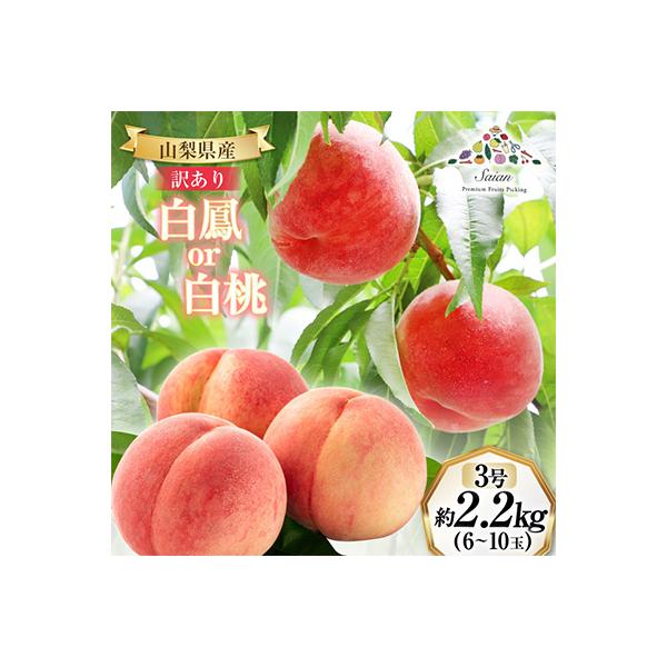 ■お礼品詳細　・配送種別：冷蔵便■お申し込み・配送・その他　・発送時期：2026-06-25〜2026-08-10（お届け時間帯指定可）　・申込受付期間：〜2026-06-30　・配達外のエリア：離島　・寄付証明書の送付時期目安：申込完了日...