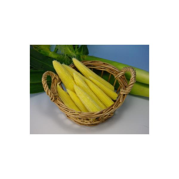 ■お礼品詳細　・配送種別：冷蔵便■お申し込み・配送・その他　・発送時期：2026-05-07〜2026-05-30（お届け時間帯指定可）　・申込受付期間：〜2026-05-10　・配達外のエリア：離島、沖縄県　・寄付証明書の送付時期目安：申...