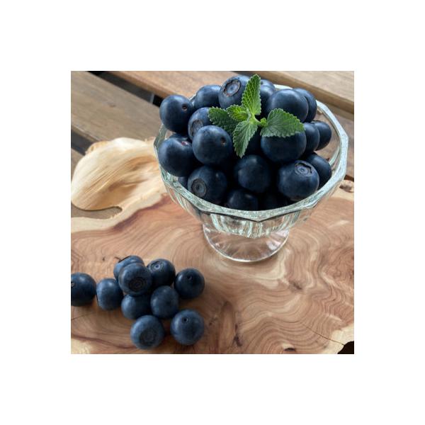 ■お礼品詳細　・配送種別：冷蔵便■お申し込み・配送・その他　・発送時期：2026-04-21〜2026-05-31（お届け時間帯指定可）　・申込受付期間：〜2026-05-17　・配達外のエリア：離島　・寄付証明書の送付時期目安：申込完了日...