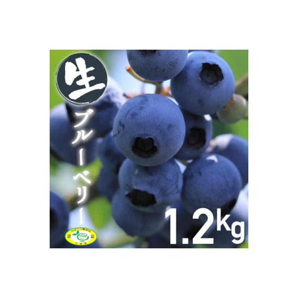 ■お礼品詳細　・配送種別：冷蔵便■お申し込み・配送・その他　・発送時期：2026-06-01〜2026-08-20（お届け時間帯指定可）　・申込受付期間：2025-12-01〜2026-06-30　・配達外のエリア：離島　・寄付証明書の送付...
