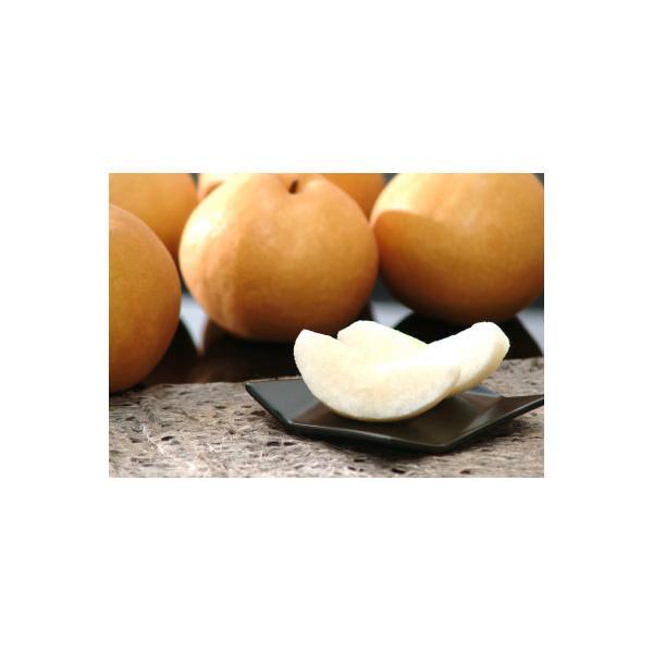 ■お礼品詳細　・配送種別：冷蔵便■お申し込み・配送・その他　・発送時期：2026-10-05〜2026-10-31（お届け時間帯指定可）　・申込受付期間：〜2026-10-26　・配達外のエリア：離島　・寄付証明書の送付時期目安：申込完了日...