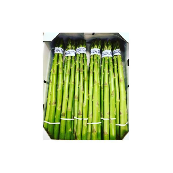 ■お礼品詳細　・配送種別：冷蔵便■お申し込み・配送・その他　・発送時期：2026-03-10〜2026-10-30（お届け時間帯指定可）　・申込受付期間：〜2026-10-20　・配達外のエリア：離島　・寄付証明書の送付時期目安：申込完了日...