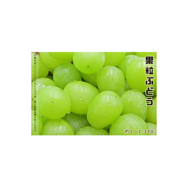 ■お礼品詳細　・配送種別：冷蔵便■お申し込み・配送・その他　・発送時期：2026-08-20〜2026-10-10（お届け時間帯指定可）　・申込受付期間：〜2026-8-31　・配達外のエリア：離島　・寄付証明書の送付時期目安：申込完了日か...