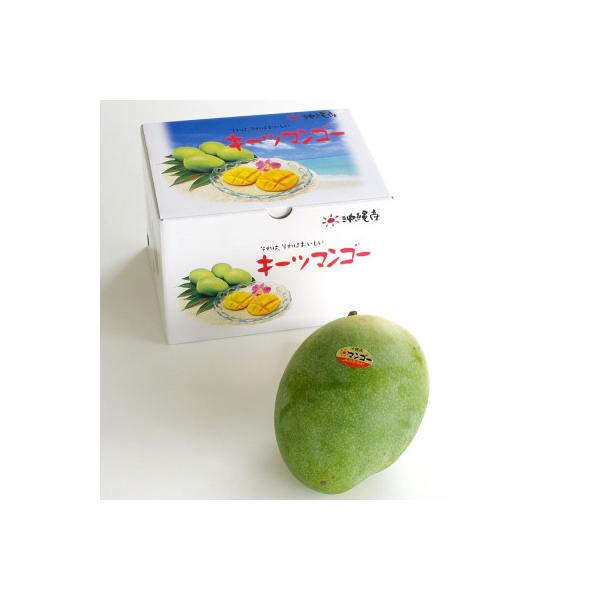 ■お礼品詳細　・配送種別：冷蔵便■お申し込み・配送・その他　・発送時期：2026-08-01〜2026-09-20（お届け時間帯指定可）　・申込受付期間：〜2026-08-25　・配達外のエリア：離島　・寄付証明書の送付時期目安：申込完了日...