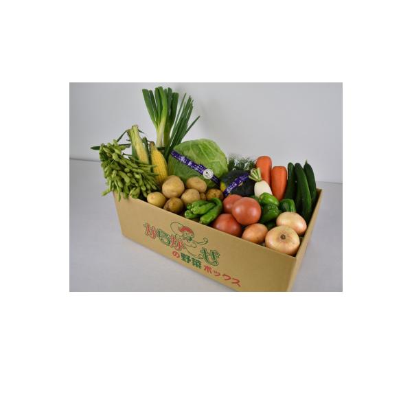 ■お礼品詳細　・配送種別：冷蔵便■お申し込み・配送・その他　・発送時期：お申し込み後2〜3週間程度で順次発送予定（お届け時間帯指定可）　・申込受付期間：通年　・配達外のエリア：離島、北海道、沖縄県、中国、四国、九州　・寄付証明書の送付時期目...