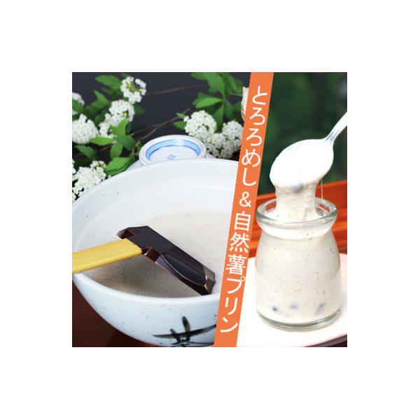 ■お礼品詳細　・配送種別：冷凍便■お申し込み・配送・その他　・発送時期：2026-01-20より順次発送 ※生産・天候・交通等の事情により遅れる場合があります。（お届け時間帯指定可）　・申込受付期間：通年　・配達外のエリア：離島　・寄付証明...