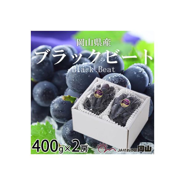 ■お礼品詳細　・配送種別：冷蔵便■お申し込み・配送・その他　・発送時期：2026-08-10〜2026-09-10（お届け時間帯指定可）　・申込受付期間：〜2026-08-20　・配達外のエリア：離島、北海道、沖縄県　・寄付証明書の送付時期...