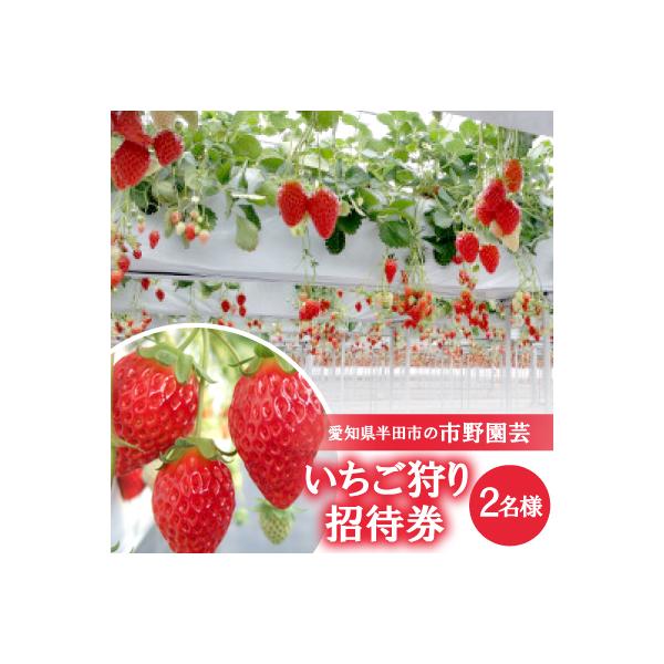 ■お礼品詳細　・配送種別：通常■お申し込み・配送・その他　・発送時期：お申込みから1週間程度で順次発送予定（お届け時間帯指定可）　・申込受付期間：通年　・配達外のエリア：　・寄付証明書の送付時期目安：申込完了日から２週間程度　・提供元：市野園芸