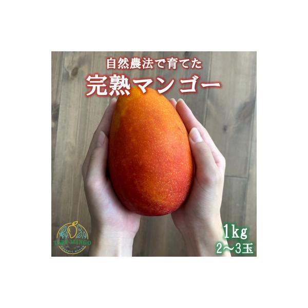 ■お礼品詳細　・配送種別：冷蔵便■お申し込み・配送・その他　・発送時期：2026-06-20〜2026-07-31（お届け時間帯指定可）　・申込受付期間：〜2026-06-30　・配達外のエリア：離島　・寄付証明書の送付時期目安：申込完了日...