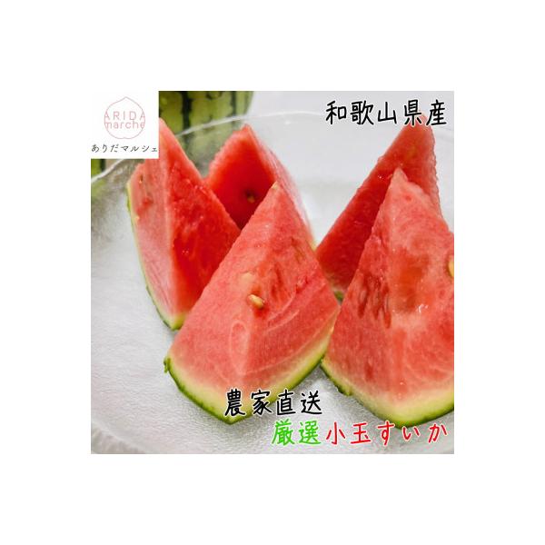 ■お礼品詳細　・配送種別：通常■お申し込み・配送・その他　・発送時期：2026-06-01〜2026-07-07（お届け時間帯指定可）　・申込受付期間：〜2026-06-20　・配達外のエリア：　・寄付証明書の送付時期目安：申込完了日から２...