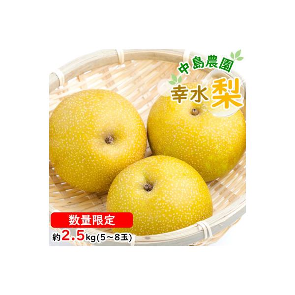 ■お礼品詳細　・配送種別：冷蔵便■お申し込み・配送・その他　・発送時期：2026-07-21〜2026-08-10（お届け時間帯指定可）　・申込受付期間：〜2026-07-10　・配達外のエリア：離島　・寄付証明書の送付時期目安：申込完了日...