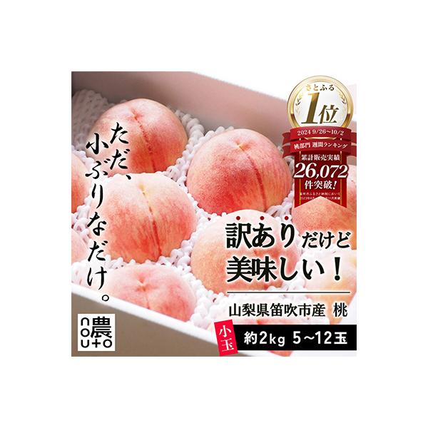 ■お礼品詳細　・配送種別：冷蔵便■お申し込み・配送・その他　・発送時期：2026-06-29〜2026-08-31（お届け時間帯指定可）　・申込受付期間：〜2026-06-30　・配達外のエリア：離島、沖縄県　・寄付証明書の送付時期目安：申...