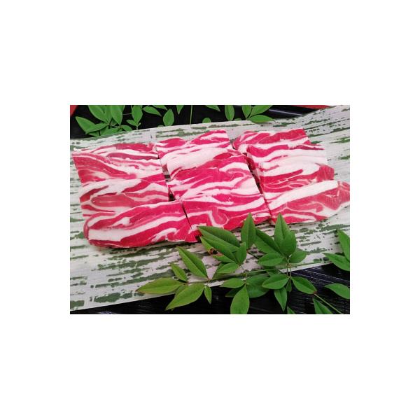 ■お礼品詳細　・配送種別：冷凍便■お申し込み・配送・その他　・発送時期：お申込みから1週間程度でお届け（お届け時間帯指定可）　・申込受付期間：2025-04-01〜　・配達外のエリア：離島　・寄付証明書の送付時期目安：申込完了日から２週間程...