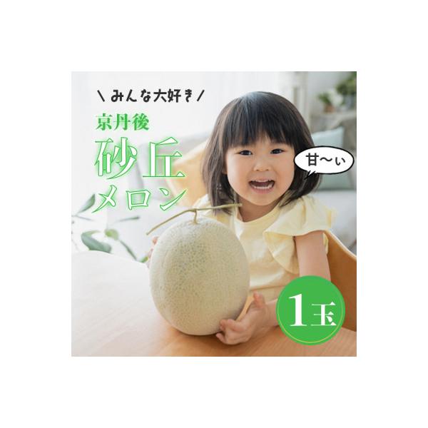 ■お礼品詳細　・配送種別：通常■お申し込み・配送・その他　・発送時期：2026-07-19〜2026-08-10（お届け時間帯指定可）　・申込受付期間：〜2026-07-31　・配達外のエリア：離島、北海道、沖縄県　・寄付証明書の送付時期目...