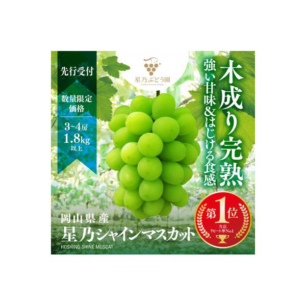 ■お礼品詳細　・配送種別：通常■お申し込み・配送・その他　・発送時期：2026-08-25〜2026-11-10（お届け時間帯指定可）　・申込受付期間：〜2026-10-15　・配達外のエリア：離島、北海道、沖縄県　・寄付証明書の送付時期目...
