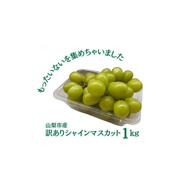 ■お礼品詳細　・配送種別：冷蔵便■お申し込み・配送・その他　・発送時期：2026-08-24〜2026-10-30（お届け時間帯指定可）　・申込受付期間：〜2026-10-20　・配達外のエリア：離島、沖縄県　・寄付証明書の送付時期目安：申...