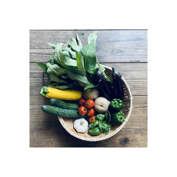 ■お礼品詳細　・配送種別：冷蔵便■お申し込み・配送・その他　・発送時期：2025-07-14〜2026-01-27（お届け時間帯指定可）　・申込受付期間：〜2026-01-20　・配達外のエリア：離島　・寄付証明書の送付時期目安：申込完了日...