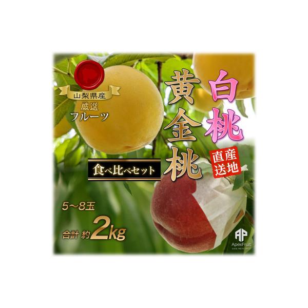 ■お礼品詳細　・配送種別：冷蔵便■お申し込み・配送・その他　・発送時期：2026-07-10〜2026-09-10（お届け時間帯指定可）　・申込受付期間：〜2025-12-31　・配達外のエリア：離島　・寄付証明書の送付時期目安：申込完了日...