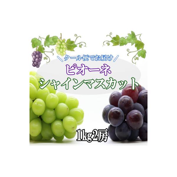 ■お礼品詳細　・配送種別：冷蔵便■お申し込み・配送・その他　・発送時期：2026-08-15〜2026-09-13（お届け時間帯指定可）　・申込受付期間：〜2026-09-06　・配達外のエリア：離島、北海道、沖縄県、中国、四国、九州　・寄...