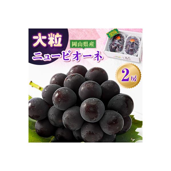 ■お礼品詳細　・配送種別：通常■お申し込み・配送・その他　・発送時期：2026-08-15〜2026-09-15（お届け時間帯指定可）　・申込受付期間：〜2026-08-27　・配達外のエリア：離島　・寄付証明書の送付時期目安：申込完了日か...