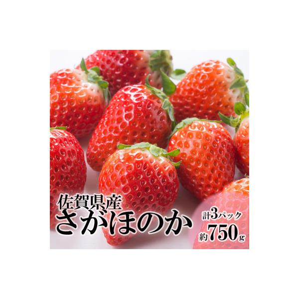 ■お礼品詳細　・配送種別：冷蔵便■お申し込み・配送・その他　・発送時期：2026-01-12〜2026-03-31（お届け時間帯指定可）　・申込受付期間：〜2026-03-20　・配達外のエリア：離島　・寄付証明書の送付時期目安：申込完了日...