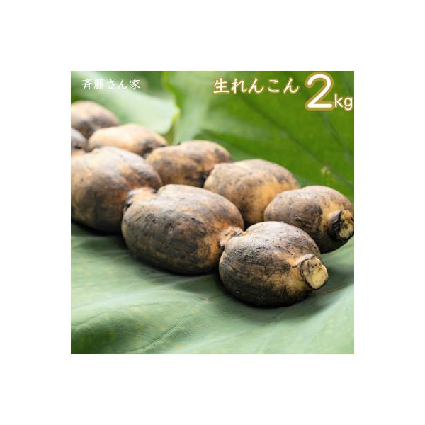 ■お礼品詳細　・配送種別：冷蔵便■お申し込み・配送・その他　・発送時期：2025-09-01〜2026-03-07（お届け時間帯指定可）　・申込受付期間：〜2026-02-28　・配達外のエリア：離島　・寄付証明書の送付時期目安：申込完了日...