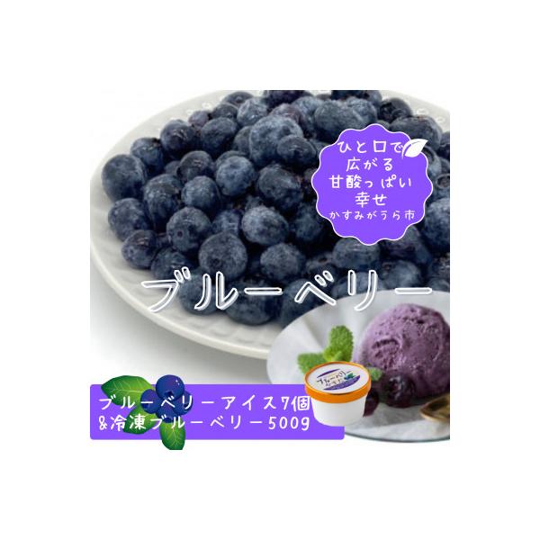 ■お礼品詳細　・配送種別：冷凍便■お申し込み・配送・その他　・発送時期：2026-01-04より順次発送 ※生産・天候・交通等の事情により遅れる場合があります。（お届け時間帯指定可）　・申込受付期間：通年　・配達外のエリア：離島　・寄付証明...