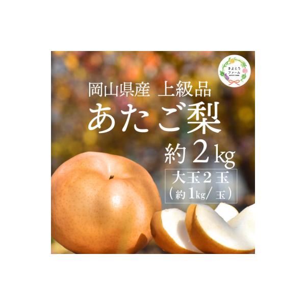 ■お礼品詳細　・配送種別：通常■お申し込み・配送・その他　・発送時期：2026-11-01〜2026-12-31（お届け時間帯指定可）　・申込受付期間：〜2026-12-26　・配達外のエリア：　・寄付証明書の送付時期目安：申込完了日から２...