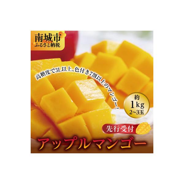 ■お礼品詳細　・配送種別：冷蔵便■お申し込み・配送・その他　・発送時期：2026-06-30〜2026-07-31（お届け時間帯指定可）　・申込受付期間：2025-08-13〜2026-07-10　・配達外のエリア：離島　・寄付証明書の送付...