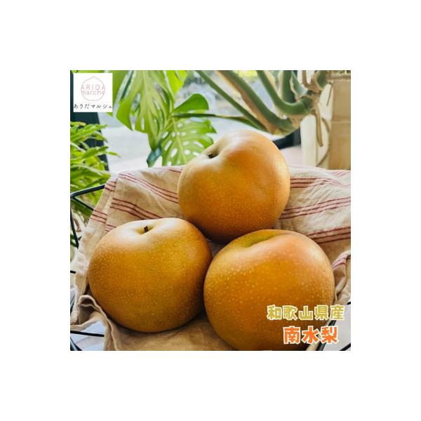 ■お礼品詳細　・配送種別：通常■お申し込み・配送・その他　・発送時期：2026-09-10〜2026-10-10（お届け時間帯指定可）　・申込受付期間：2025-11-01〜2026-09-30　・配達外のエリア：　・寄付証明書の送付時期目...