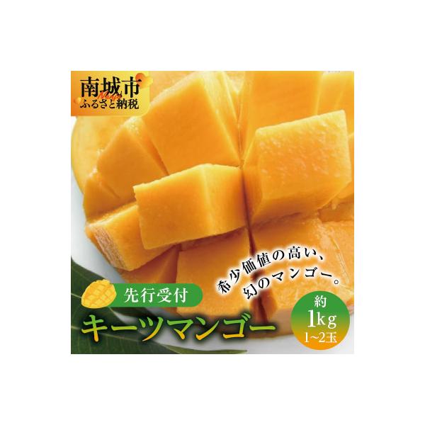 ■お礼品詳細　・配送種別：通常■お申し込み・配送・その他　・発送時期：2026-08-01〜2026-09-30（お届け時間帯指定可）　・申込受付期間：2025-08-12〜2026-07-10　・配達外のエリア：　・寄付証明書の送付時期目...