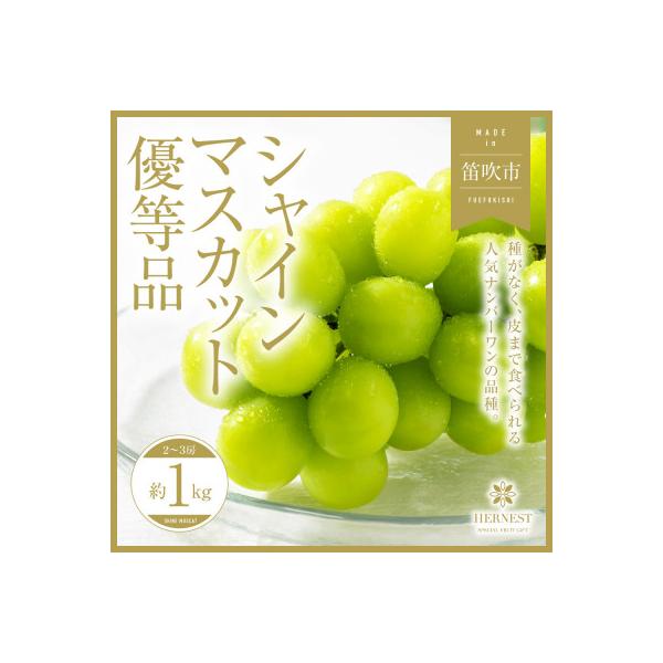 ■お礼品詳細　・配送種別：冷蔵便■お申し込み・配送・その他　・発送時期：2026-08-20〜2026-10-31（お届け時間帯指定可）　・申込受付期間：〜2026-09-15　・配達外のエリア：離島　・寄付証明書の送付時期目安：申込完了日...