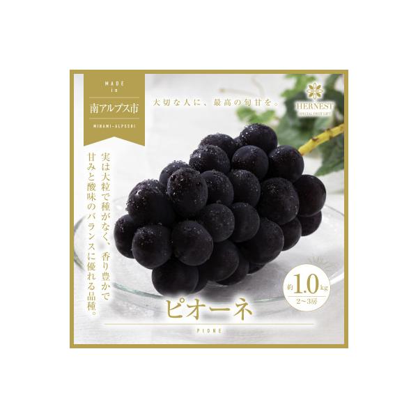 ■お礼品詳細　・配送種別：冷蔵便■お申し込み・配送・その他　・発送時期：2026-08-15〜2026-09-30（お届け時間帯指定可）　・申込受付期間：〜2026-08-10　・配達外のエリア：離島　・寄付証明書の送付時期目安：申込完了日...