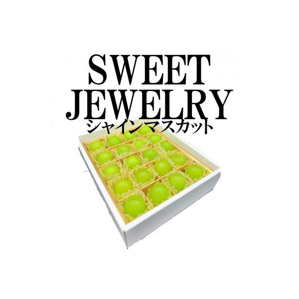 ■お礼品詳細　・配送種別：冷蔵便■お申し込み・配送・その他　・発送時期：2026-09-01〜2026-10-31（お届け時間帯指定可）　・申込受付期間：〜2026-09-15　・配達外のエリア：離島　・寄付証明書の送付時期目安：申込完了日...