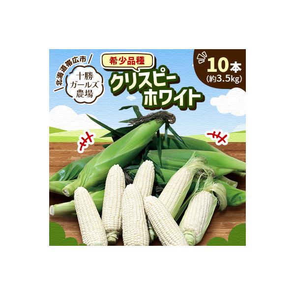 ■お礼品詳細　・配送種別：冷蔵便■お申し込み・配送・その他　・発送時期：2026-08-01〜2026-08-31（お届け時間帯指定可）　・申込受付期間：2025-09-01〜2026-08-01　・配達外のエリア：離島　・寄付証明書の送付...