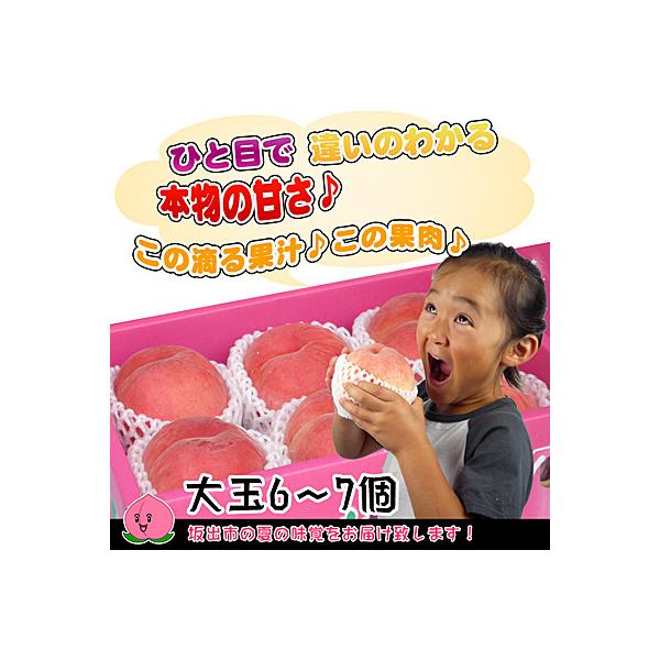 ■お礼品詳細　・配送種別：冷蔵便■お申し込み・配送・その他　・発送時期：2026-07-20〜2026-08-15（お届け時間帯指定可）　・申込受付期間：〜2026-08-09　・配達外のエリア：離島、北海道、沖縄県　・寄付証明書の送付時期...