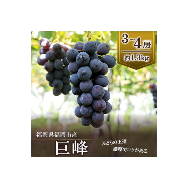 ■お礼品詳細　・配送種別：冷蔵便■お申し込み・配送・その他　・発送時期：2026-08-01〜2026-09-15（お届け時間帯指定可）　・申込受付期間：〜2026-09-10　・配達外のエリア：離島　・寄付証明書の送付時期目安：申込完了日...