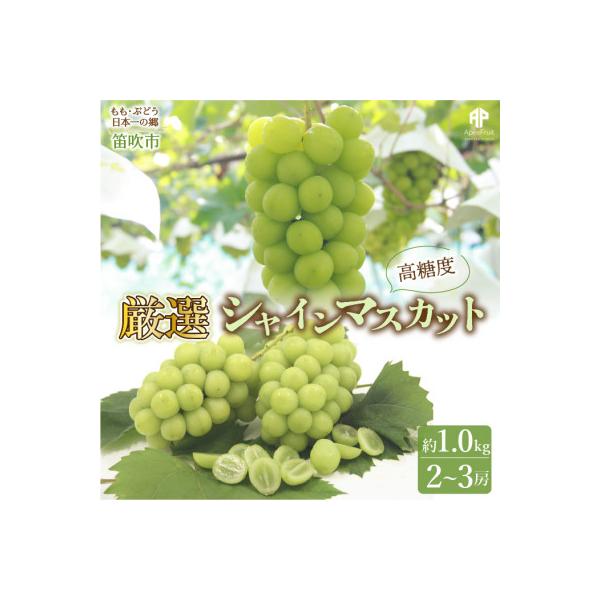 ■お礼品詳細　・配送種別：冷蔵便■お申し込み・配送・その他　・発送時期：2026-09-01〜2026-11-18（お届け時間帯指定可）　・申込受付期間：〜2026-10-31　・配達外のエリア：離島、沖縄県　・寄付証明書の送付時期目安：申...