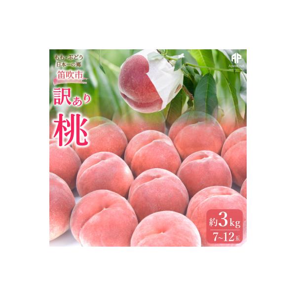 ■お礼品詳細　・配送種別：冷蔵便■お申し込み・配送・その他　・発送時期：2026-06-20〜2026-09-10（お届け時間帯指定可）　・申込受付期間：〜2026-08-29　・配達外のエリア：離島、沖縄県　・寄付証明書の送付時期目安：申...