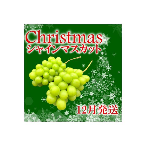 ■お礼品詳細　・配送種別：冷蔵便■お申し込み・配送・その他　・発送時期：2026-12-01〜2026-12-31（お届け時間帯指定可）　・申込受付期間：〜2026-12-11　・配達外のエリア：離島、沖縄県　・寄付証明書の送付時期目安：申...