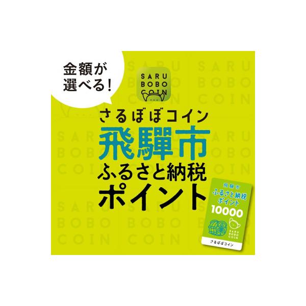■お礼品詳細　・配送種別：通常■お申し込み・配送・その他　・発送時期：お申込みより1週間程度で順次発送予定（お届け時間帯指定可）　・申込受付期間：通年　・配達外のエリア：　・寄付証明書の送付時期目安：申込完了日から１週間程度　・提供元：飛騨...