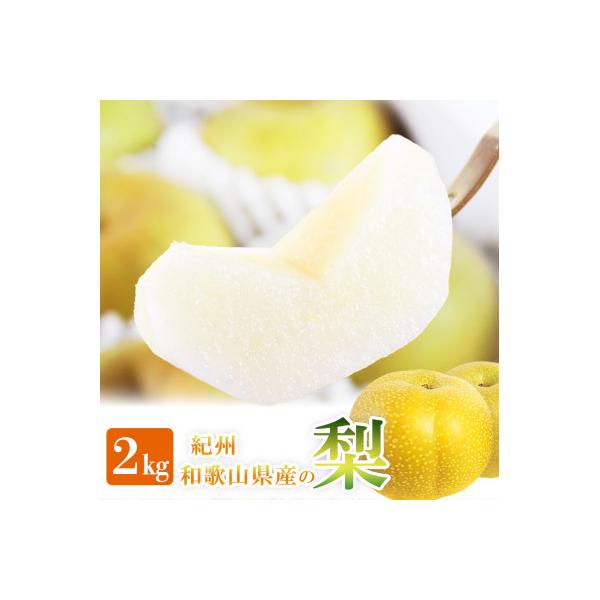 ■お礼品詳細　・配送種別：通常■お申し込み・配送・その他　・発送時期：2026-08-11〜2026-09-10（お届け時間帯指定可）　・申込受付期間：2025-09-20〜2026-08-25　・配達外のエリア：離島、北海道、沖縄県　・寄...