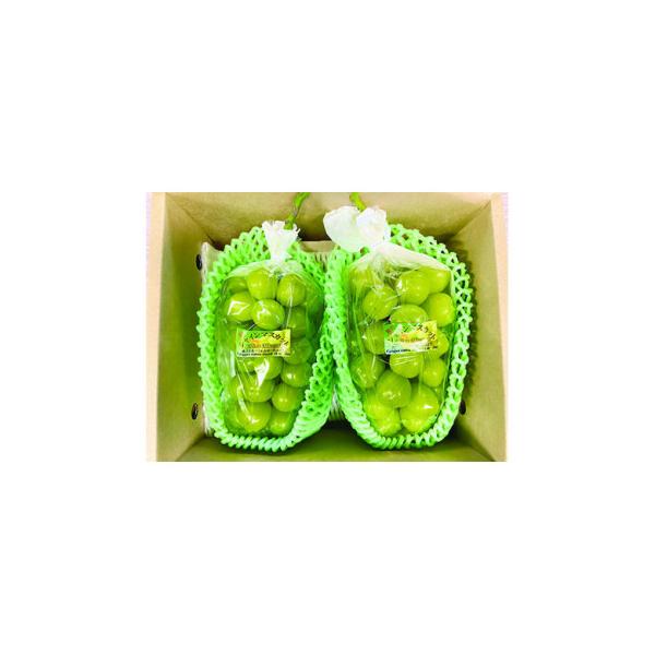 ■お礼品詳細　・配送種別：冷蔵便■お申し込み・配送・その他　・発送時期：2026-09-10〜2026-10-31（お届け時間帯指定可）　・申込受付期間：〜2026-10-09　・配達外のエリア：離島　・寄付証明書の送付時期目安：申込完了日...