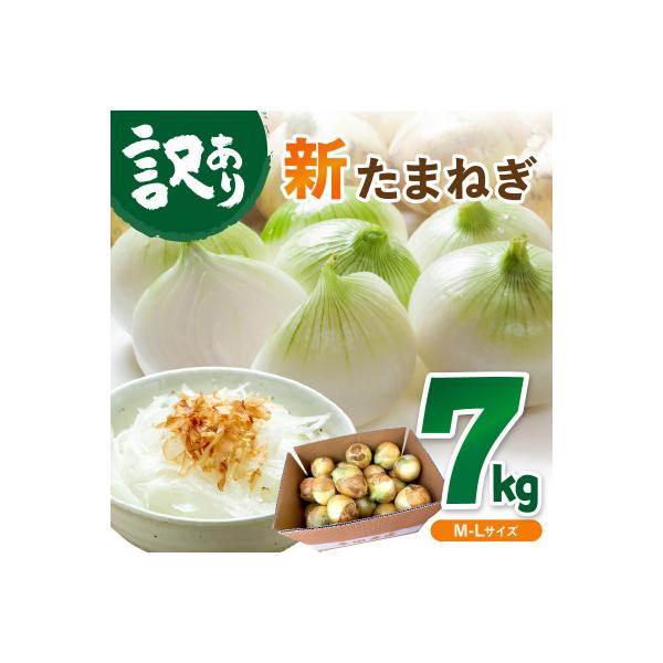 ■お礼品詳細　・配送種別：通常■お申し込み・配送・その他　・発送時期：2026-05-20〜2026-06-20（お届け時間帯指定可）　・申込受付期間：〜2026-06-10　・配達外のエリア：離島　・寄付証明書の送付時期目安：申込完了日か...