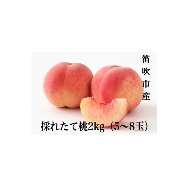 ■お礼品詳細　・配送種別：冷蔵便■お申し込み・配送・その他　・発送時期：2026-06-20〜2026-08-15（お届け時間帯指定可）　・申込受付期間：〜2026-08-02　・配達外のエリア：離島、沖縄県　・寄付証明書の送付時期目安：申...